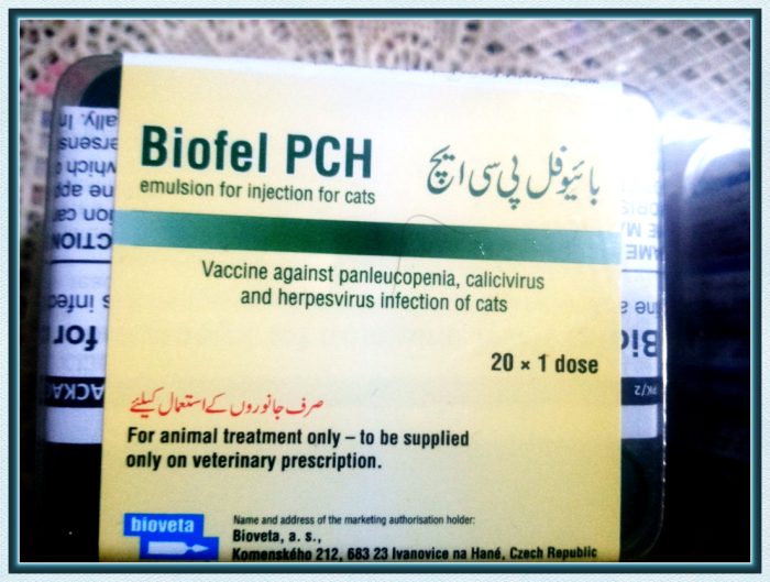 Biofel PCH, emulsion for injection for cats – Pets care Solutions